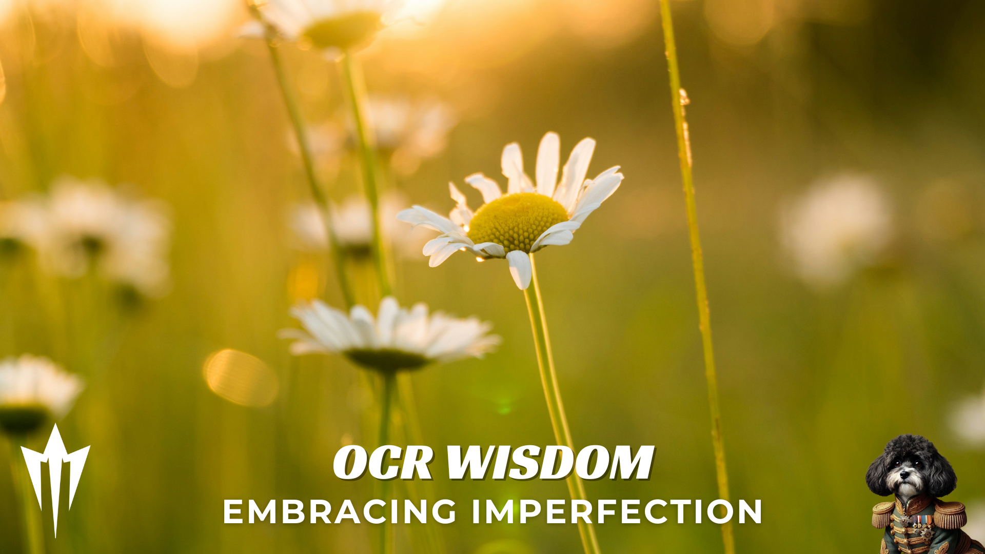 Embracing Imperfection - OCR Academy