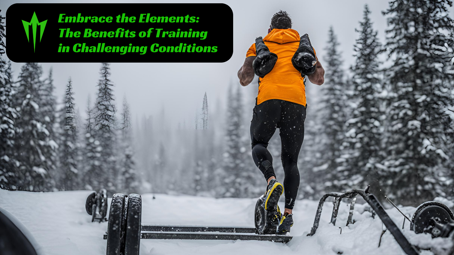 Embrace the Elements - OCR Academy