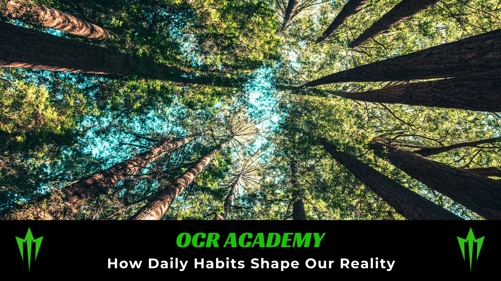 Breaking the Cycle: How Daily Habits Shape Our Reality - OCR Academy