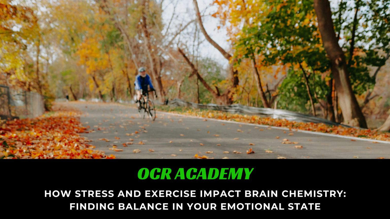 OCR Academy