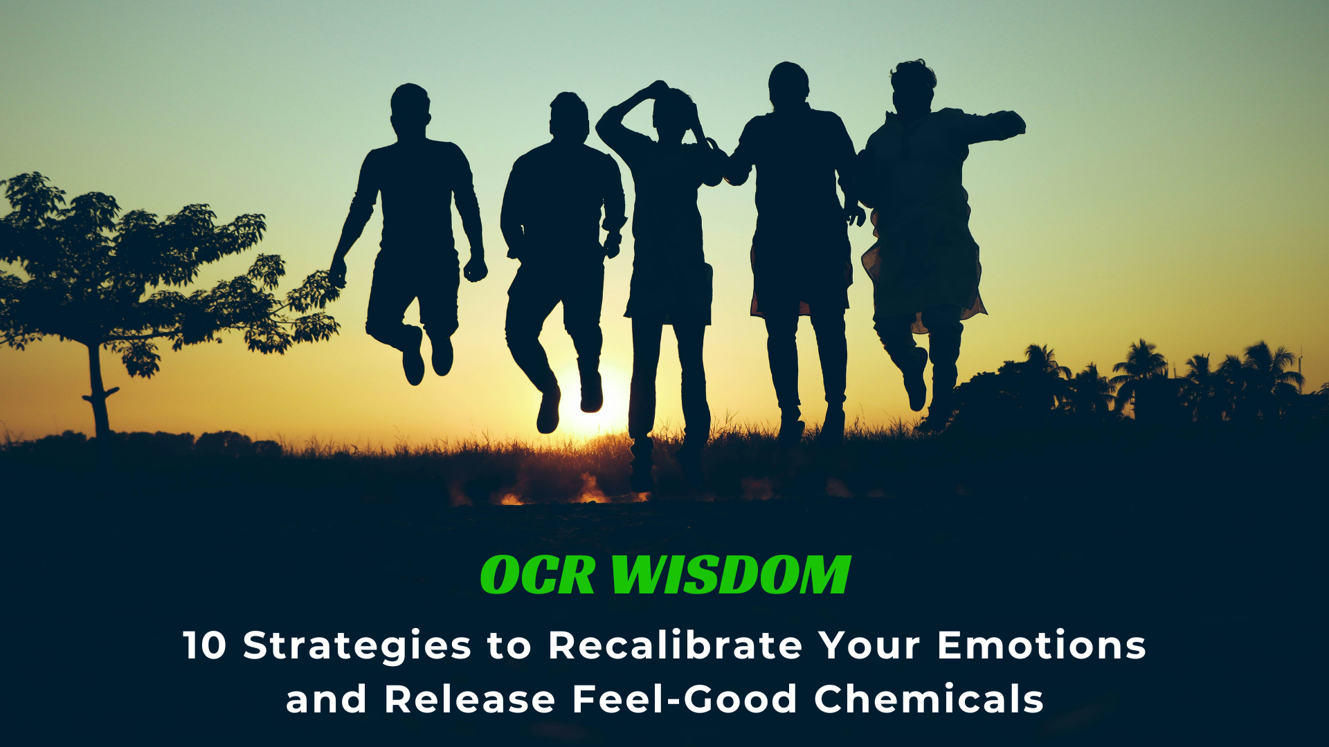 OCR Academy