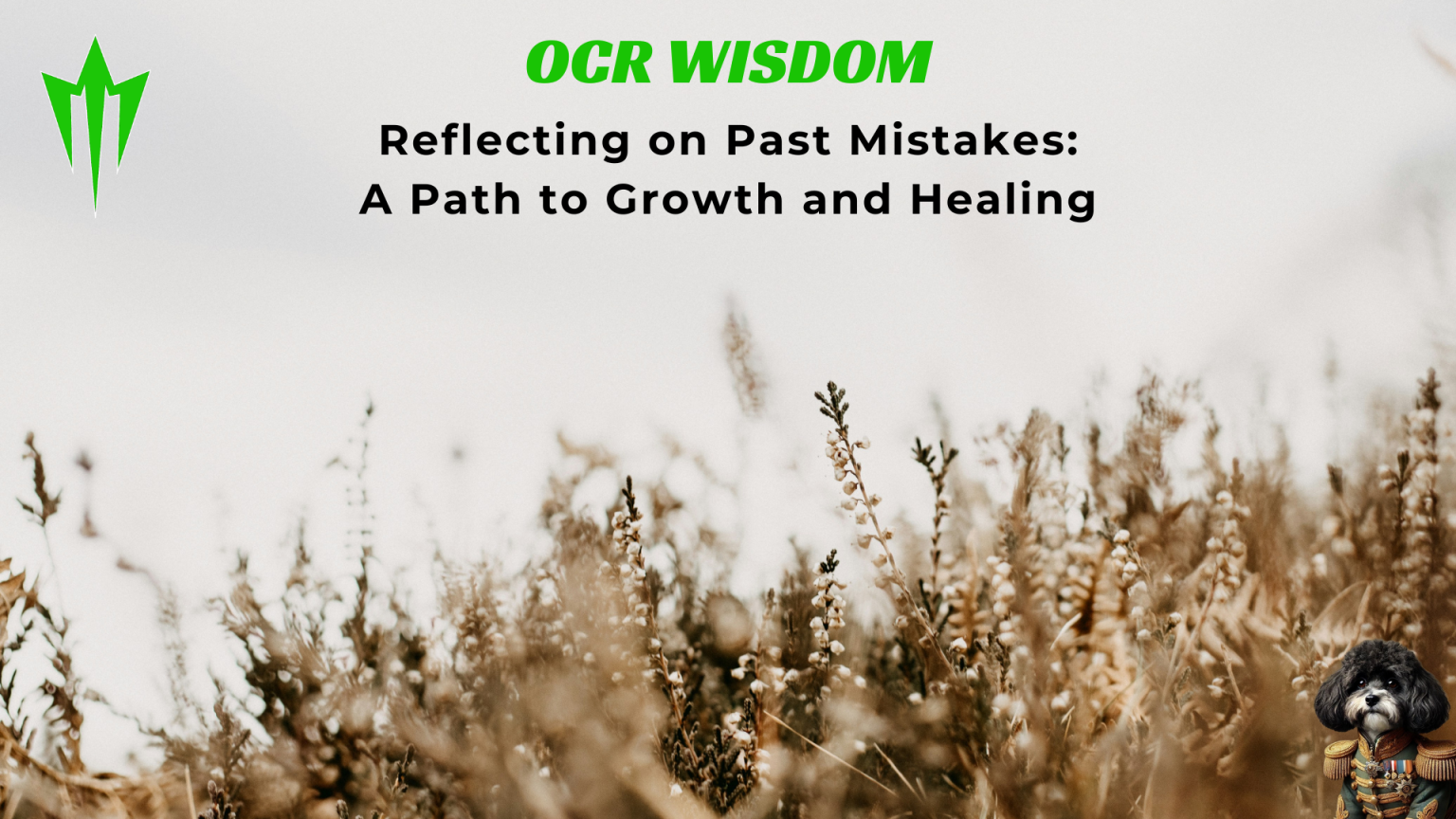 Reflecting on Past Mistakes - OCR Academy